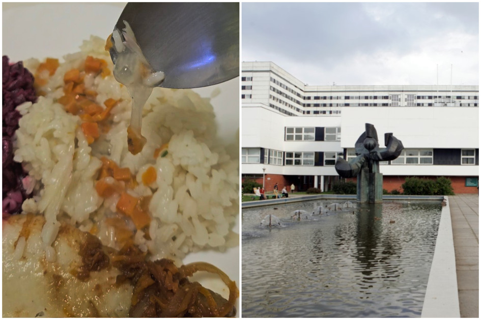 "Kas tas ir? Tas smird un staipās!" Onkoloģijas pacientam pasniegtā ...