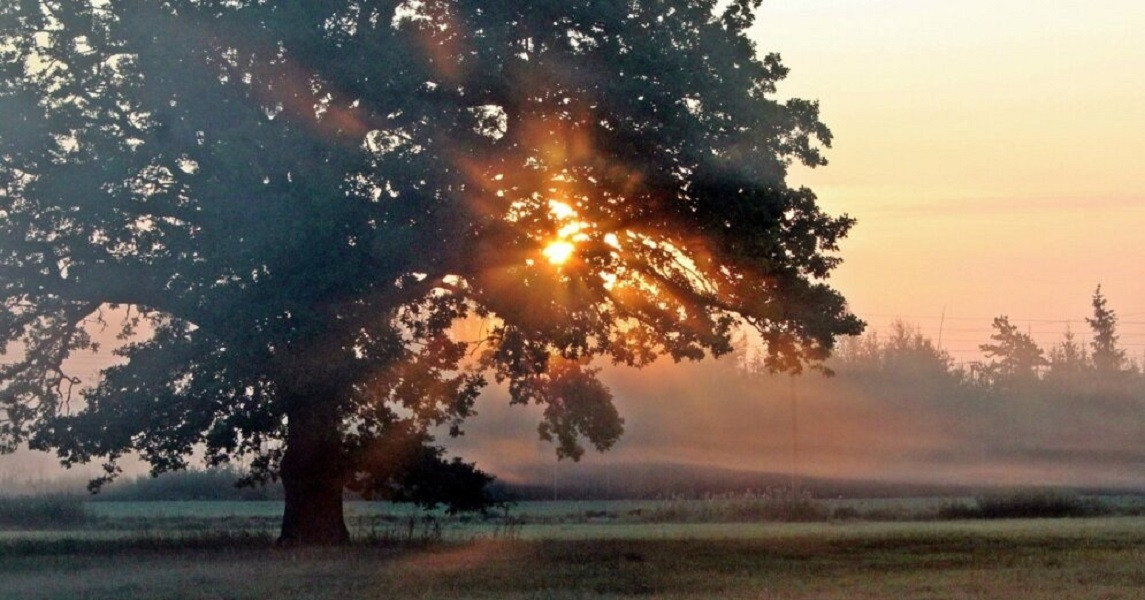Šodien sākas astronomiskais rudens - OGRENET - Tava novada portāls