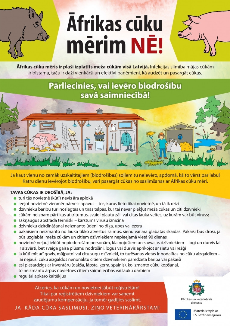 Novadā plosās Āfrikas cūku mēris; cūku turētājiem jābūt uzmanīgiem ...