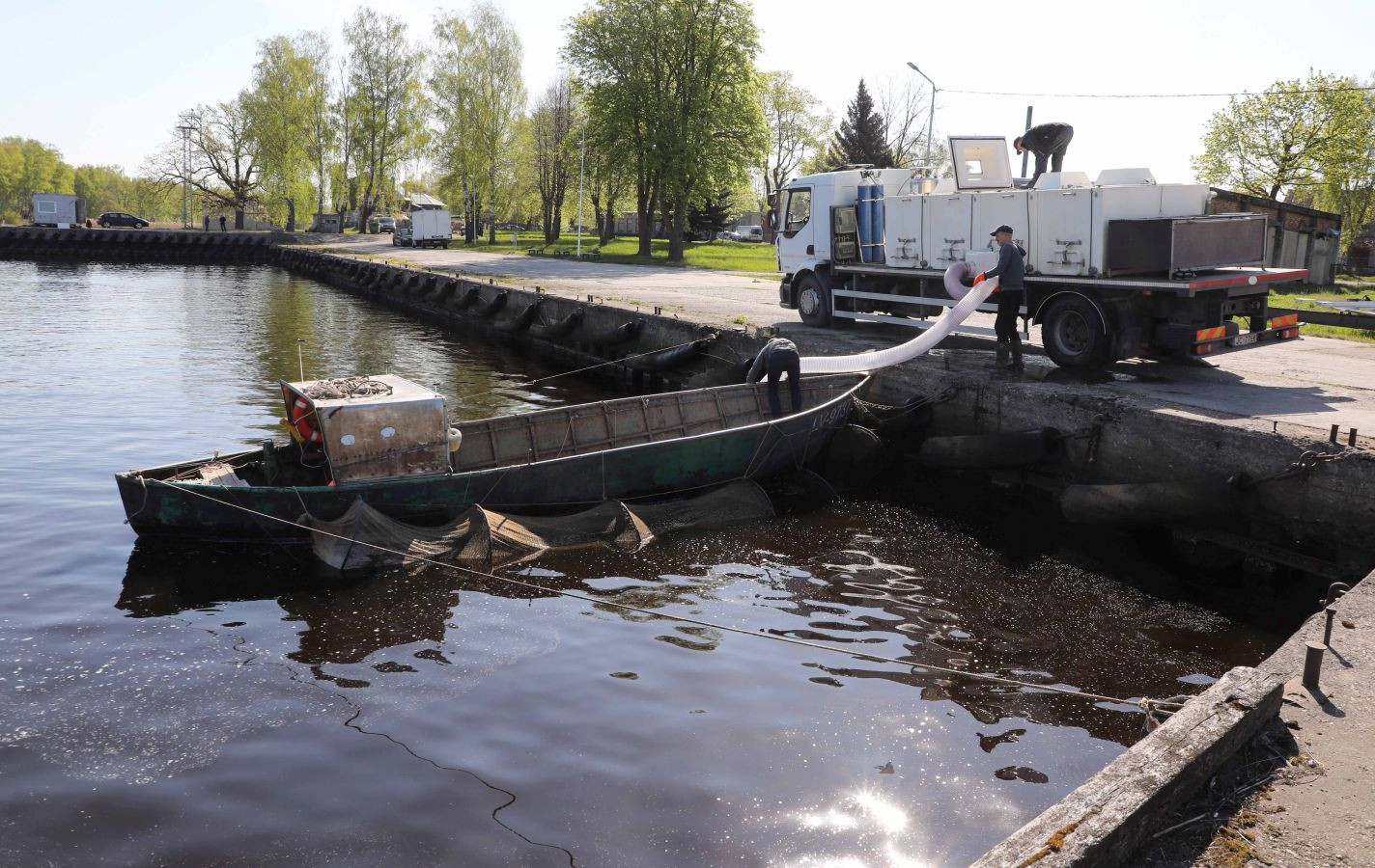 Gādās par zivju atražošanu Daugavā, tostarp pie Ikšķiles un Kaibalā ...
